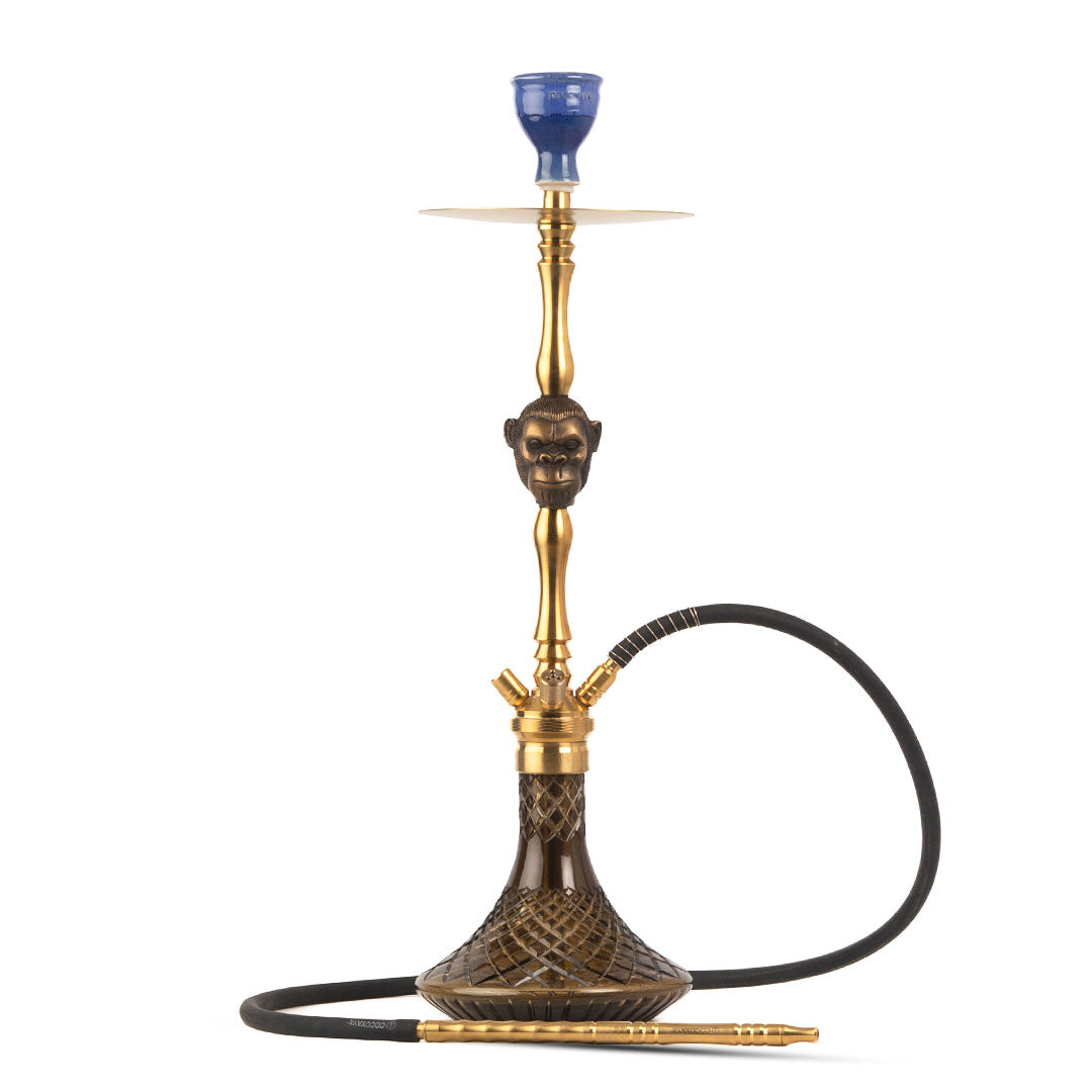 Buy COCOYAYA Hookahs online | Assured Wholesale Price | Cash on ...