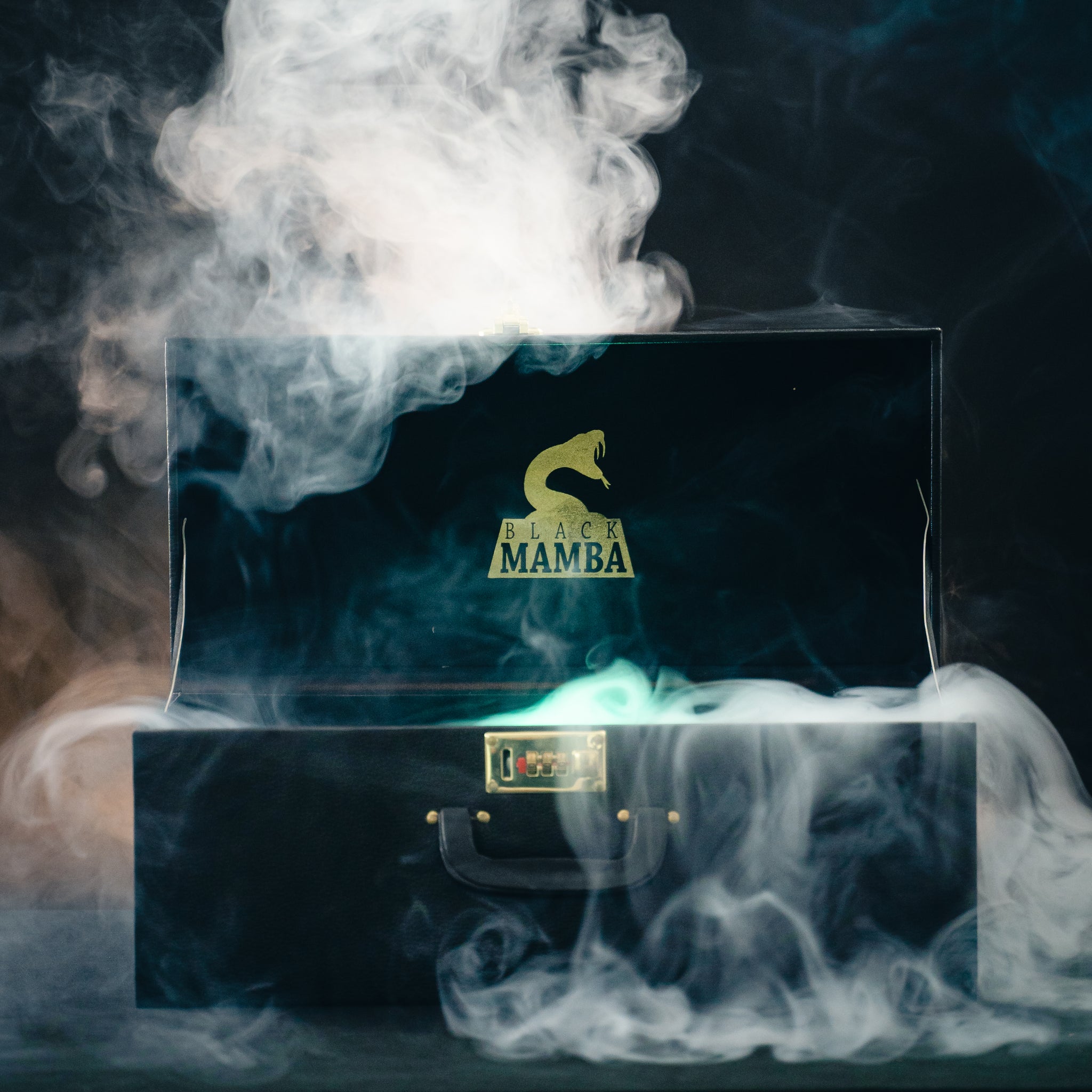 Buy Black Mamba Leather Cases For Hookah - Black – shopdop.in